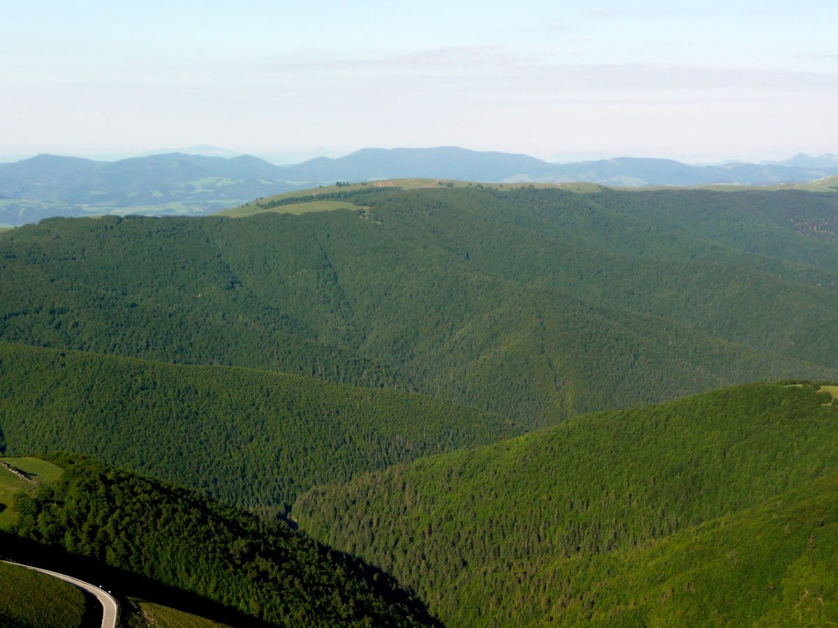 Selva de Irati. Ruta 16. - Donosti City