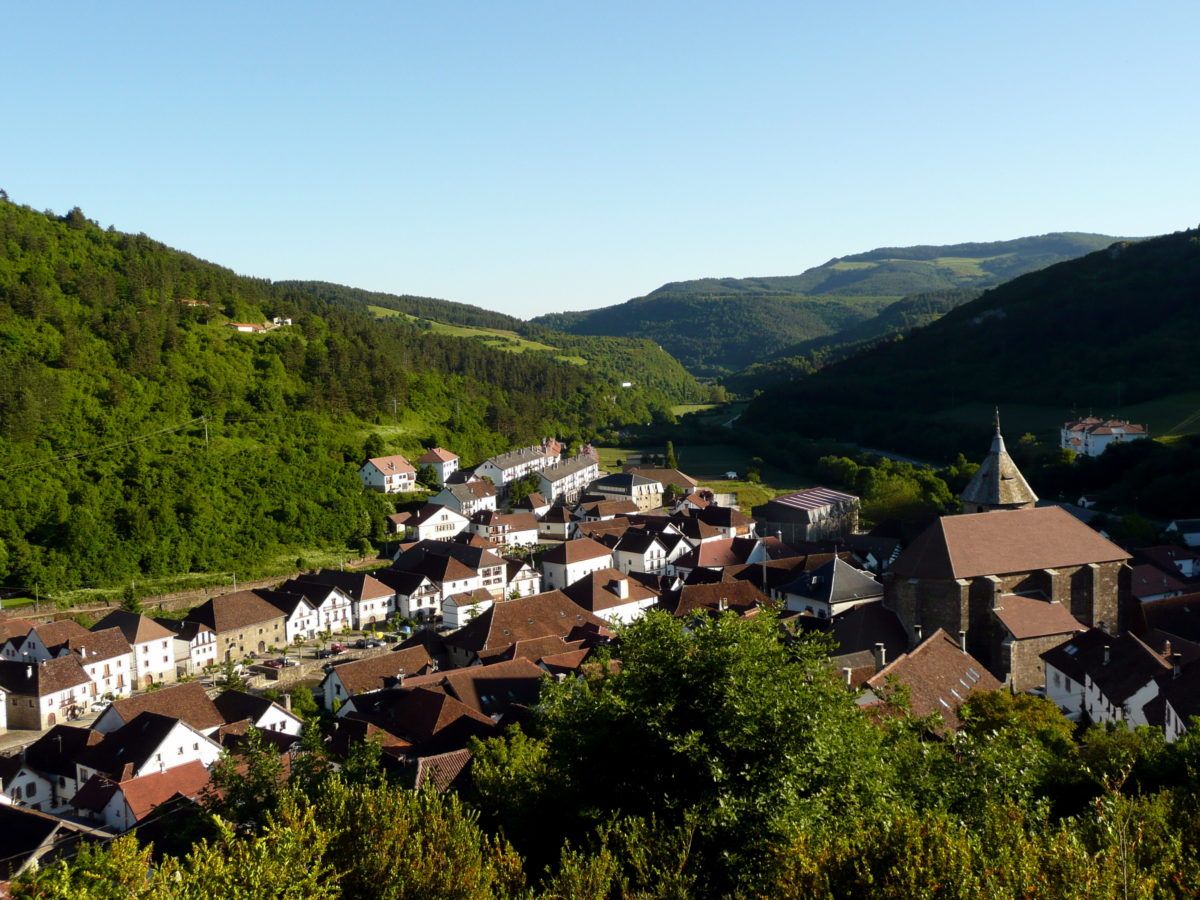 Selva de Irati. Ruta 16. - Donosti City