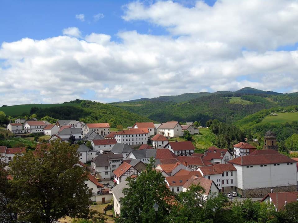 Selva de Irati. Ruta 16. - Donosti City