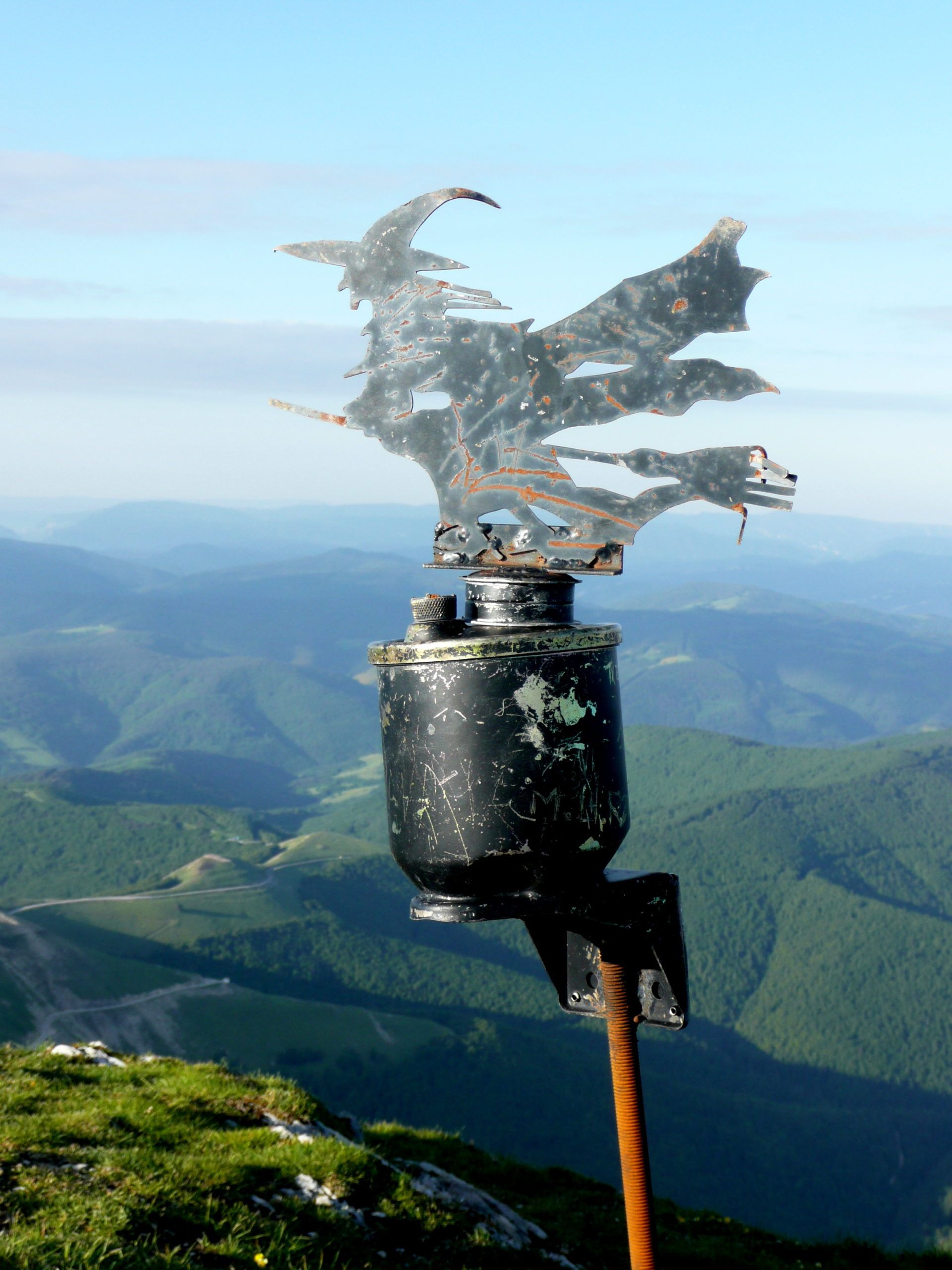 Selva de Irati. Ruta 16. - Donosti City