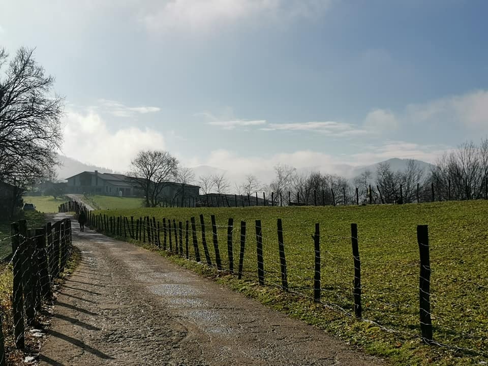 Artzain Eguna. Día del pastoreo en Ordizia. - Donosti City